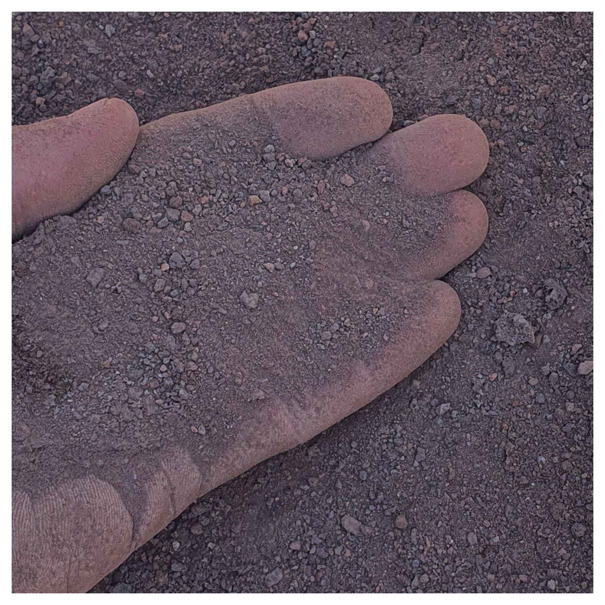 Roca vulcanica 1L (0.5-1mm)