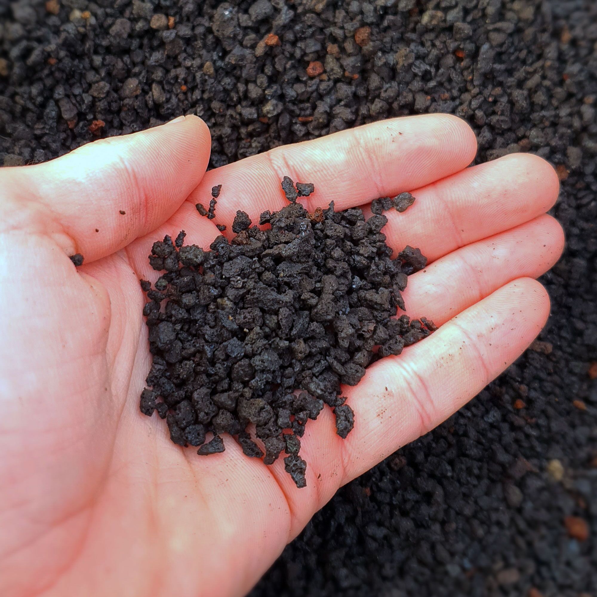 Roca vulcanica neagra 1L (3-5mm)